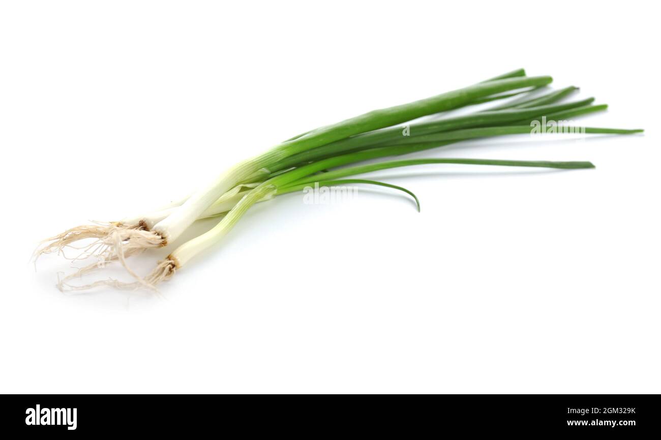 Green onion on white background Stock Photo - Alamy