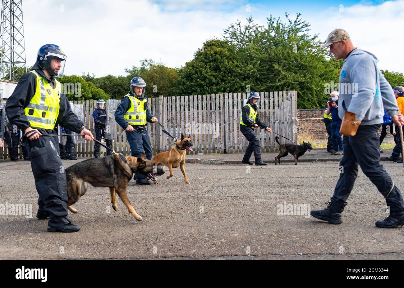Police dogs hi-res stock photography and images - Alamy