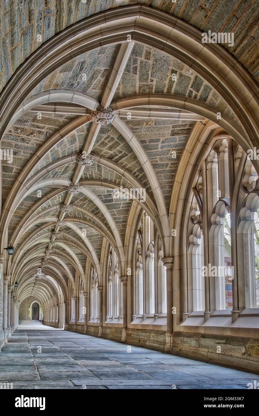 Princeton University Hallway III - A view to a perfect example of ...