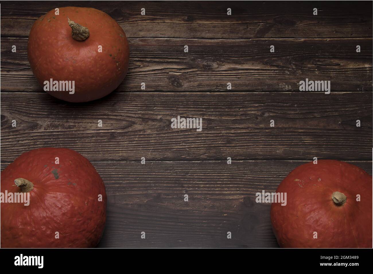 Pumpkins on dark wood with copy space Stock Photo - Alamy