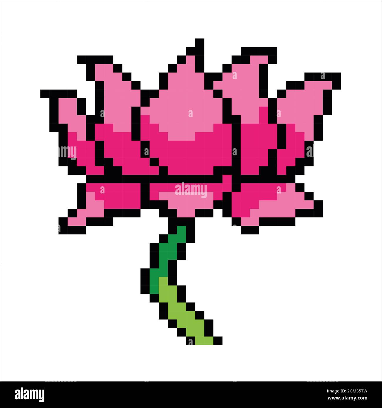 White Lotus Art High Resolution Stock Photography and Images - Alamy