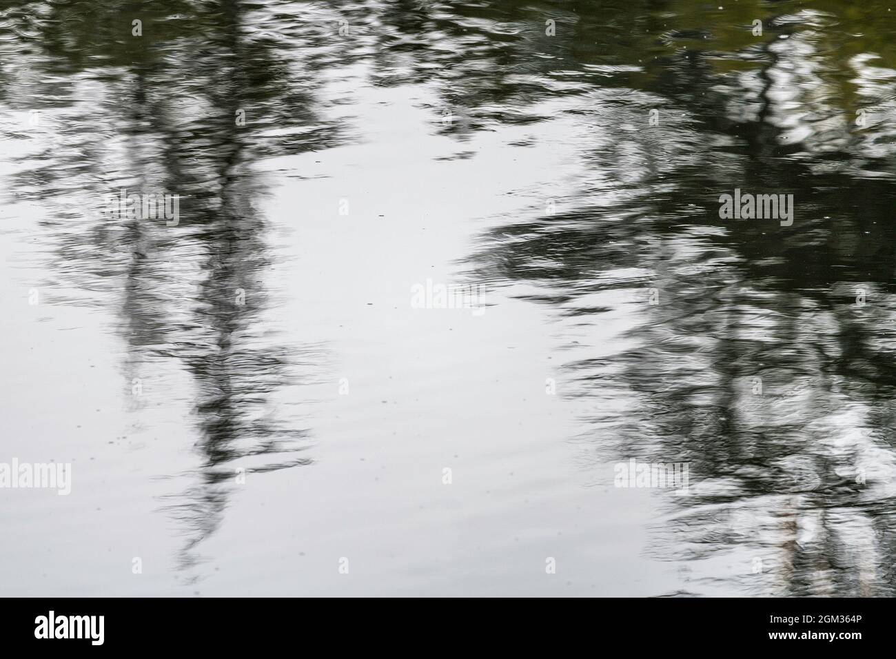 Pond in a shade hi-res stock photography and images - Alamy
