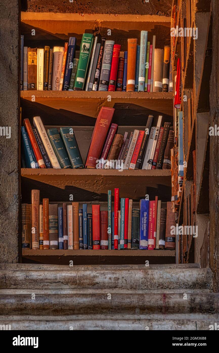 Castle Library Room Books - View to the ibookshelf with colorful books ...