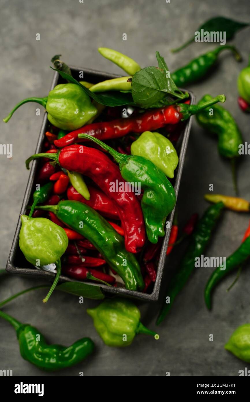 Different types of homegrown chillies or chilli peppers background ...