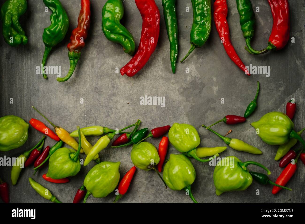 Different types of homegrown chillies or chilli peppers background ...