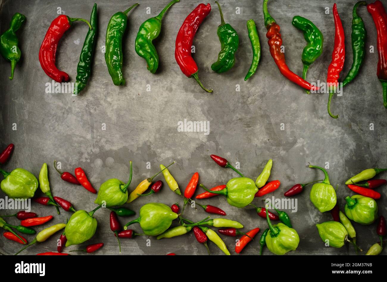 Different types of homegrown chillies or chilli peppers background ...