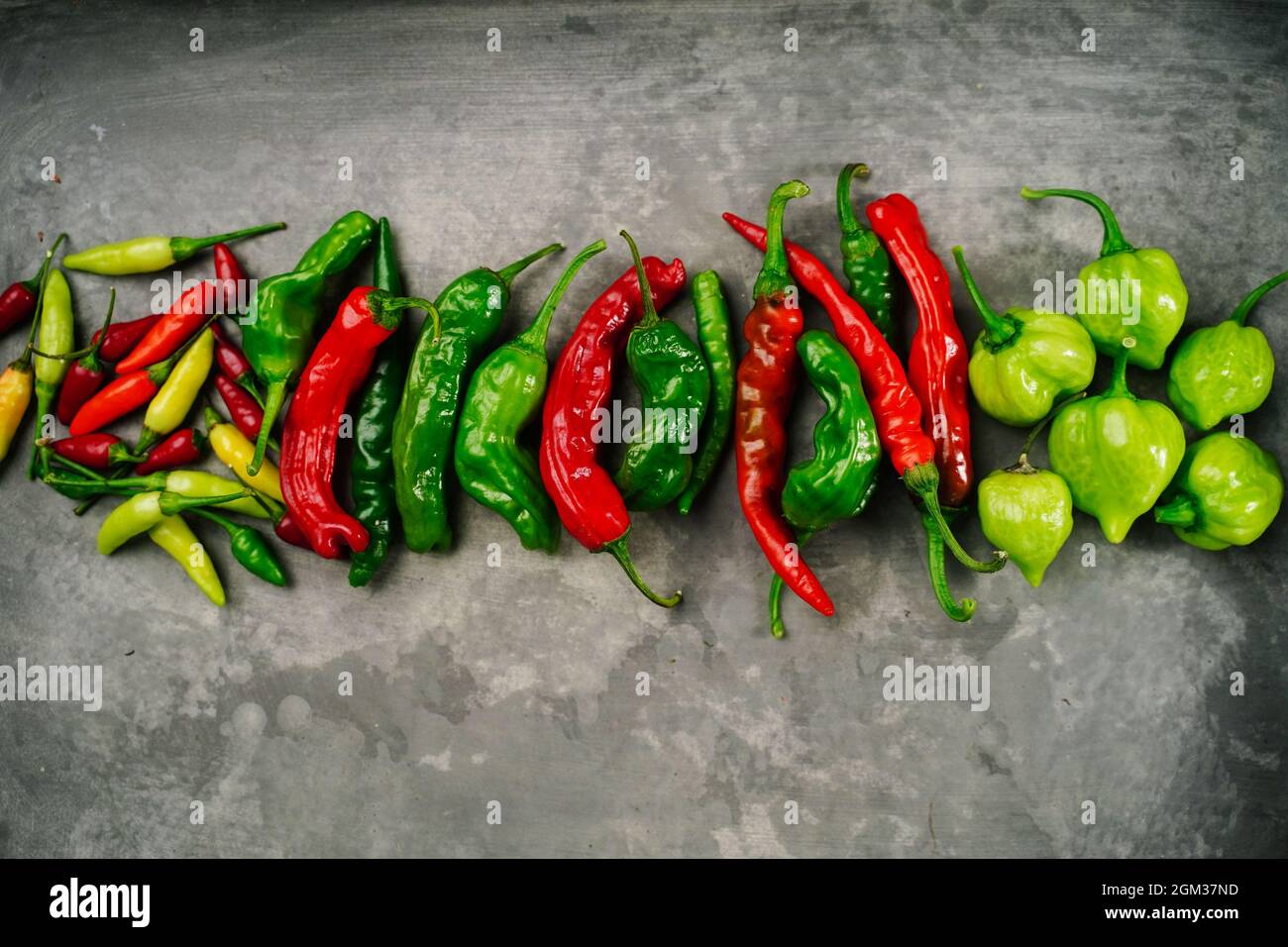 Different types of homegrown chillies or chilli peppers background ...