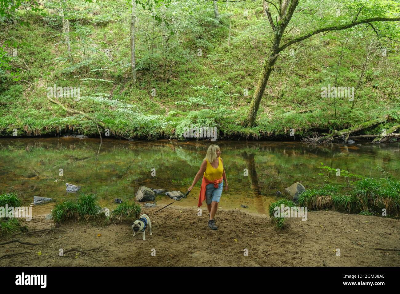Fingles bridge hi-res stock photography and images - Alamy