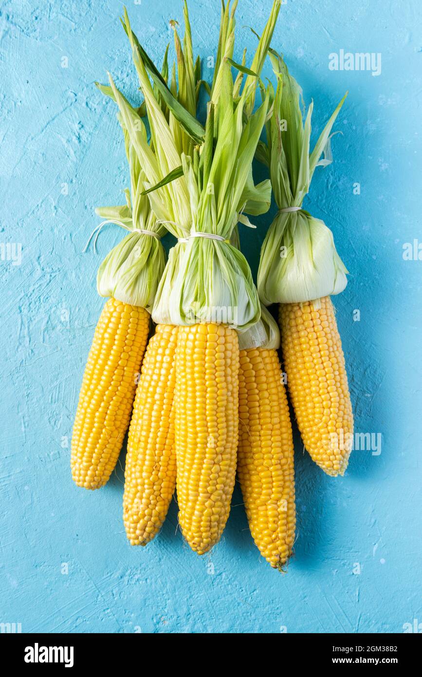 Bio Corn Cob with Husk. Vegetable Crop. Table Top View Stock Photo - Alamy