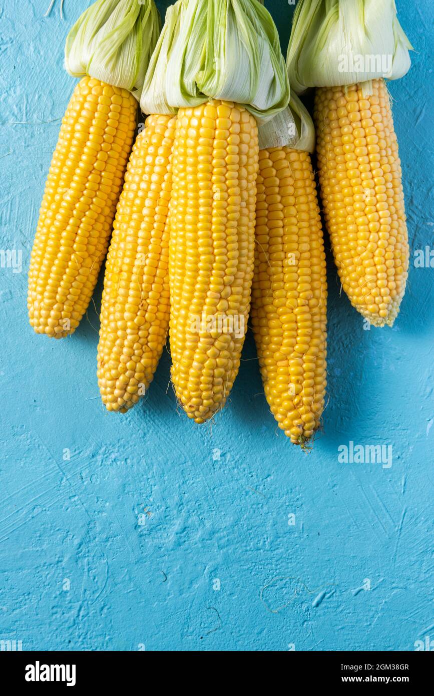 Fresh Whole Corn Cob or Corn Ears in Husk. Table Top View Stock Photo ...