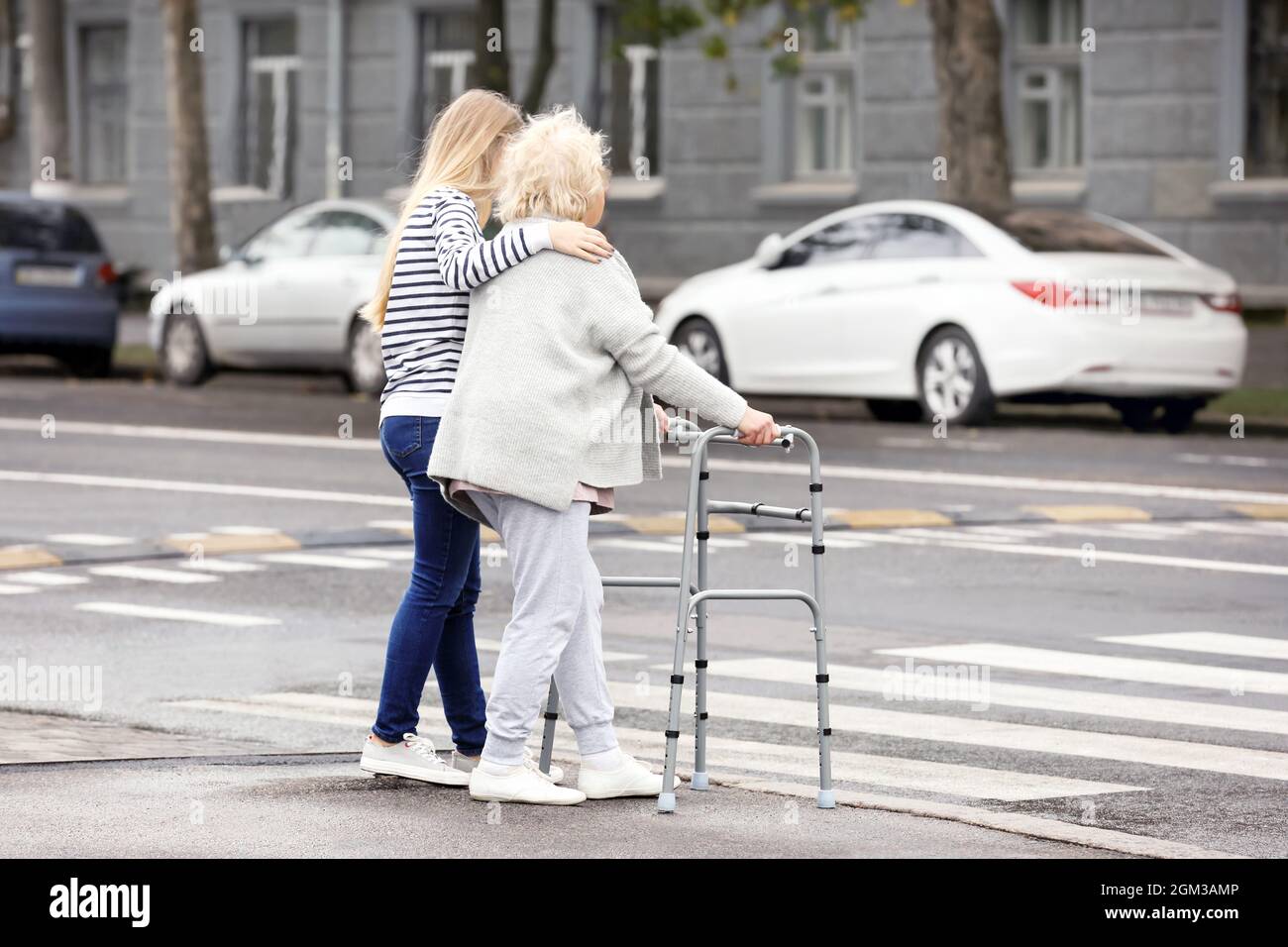 Young woman helping her elderly grandmother with walking frame to cross ...