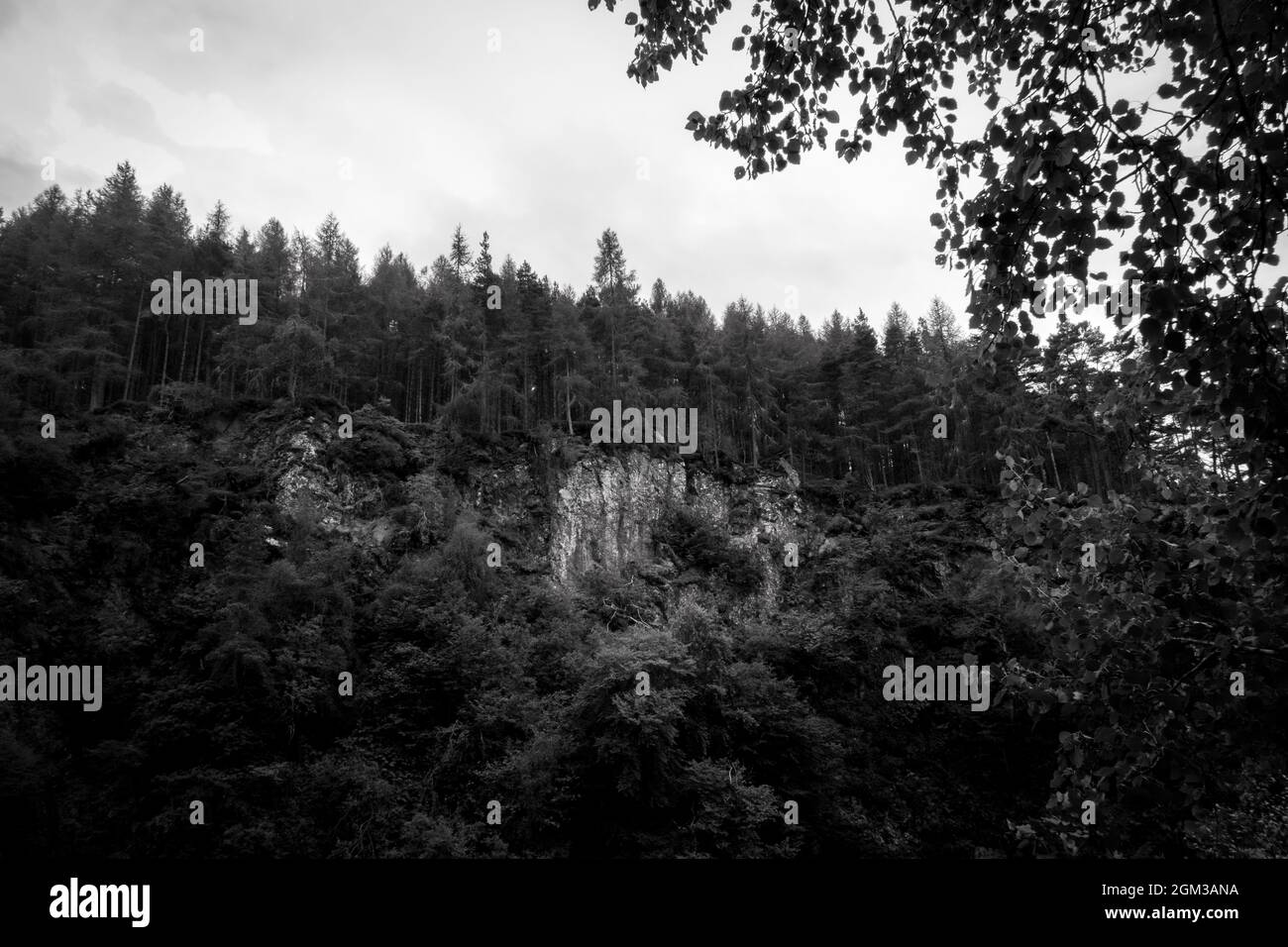 Forested cliff edge at Foyers, Scottish Highlands Stock Photo - Alamy