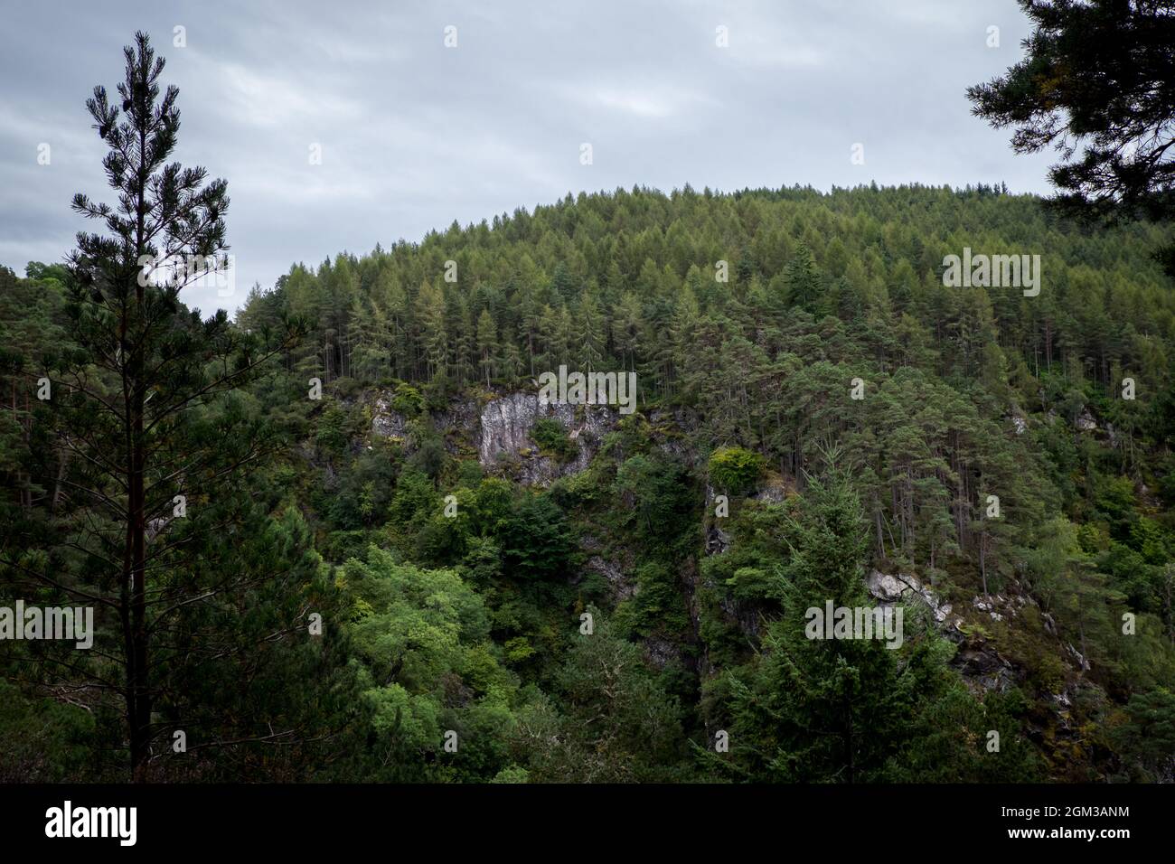 Forested cliff edge at Foyers, Scottish Highlands Stock Photo - Alamy