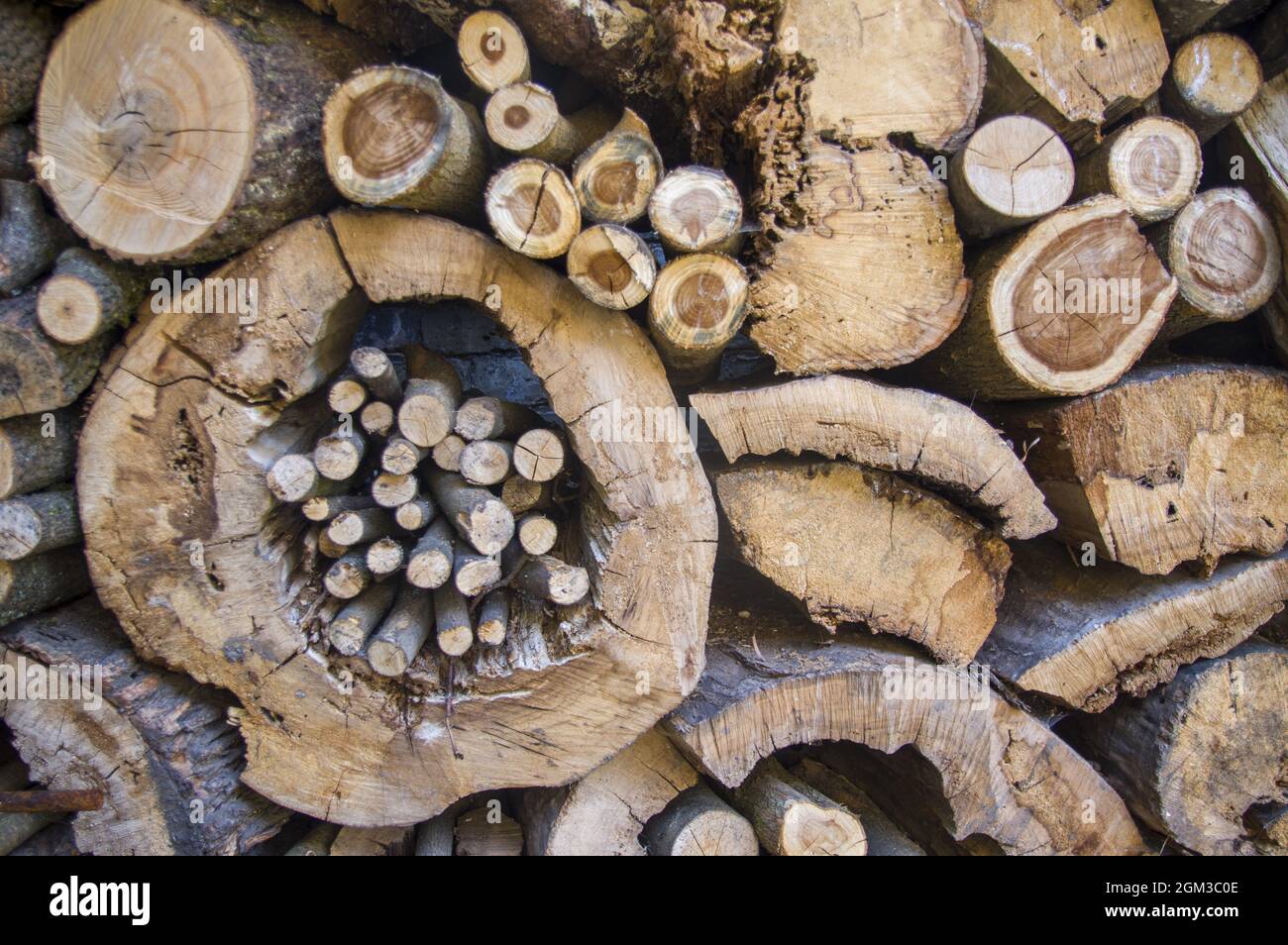 Natural Teak Wood Log