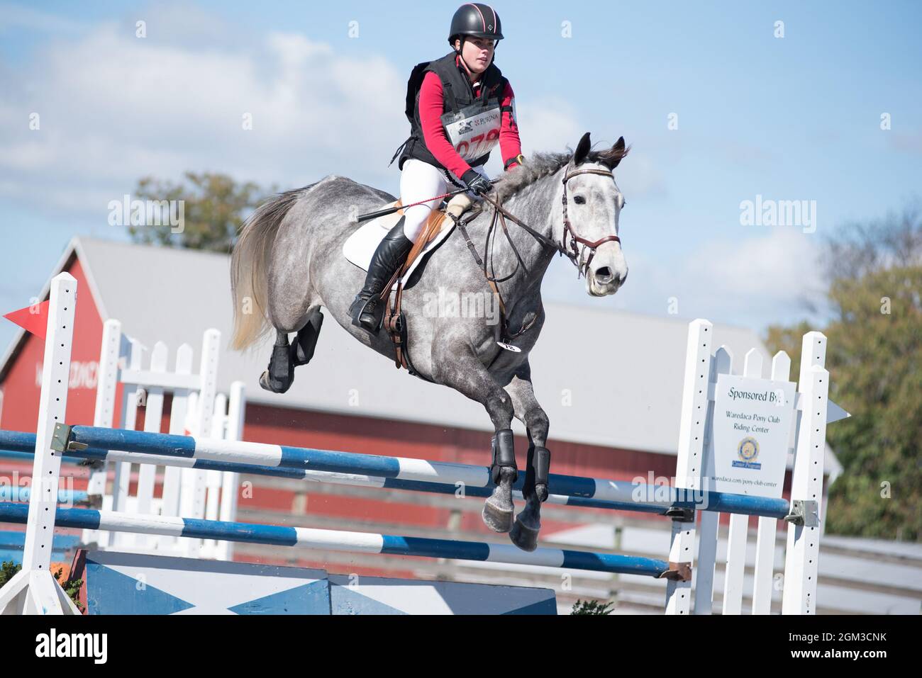 Equestrian competition photos including hunter jumper and cross country ...