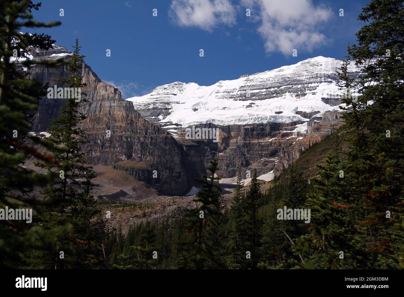 The spectacular glacier behind the green trees in a National Park Stock ...