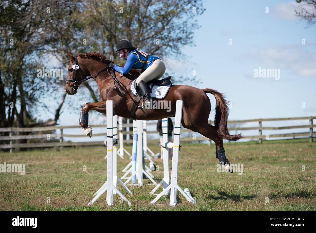 Equestrian competition photos including hunter jumper and cross country ...