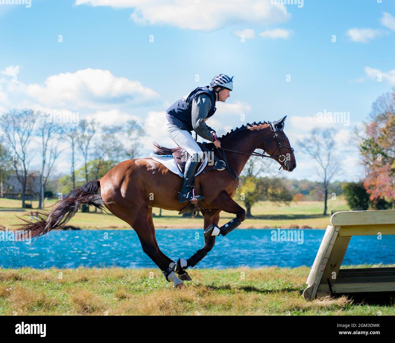 Equestrian competition photos including hunter jumper and cross country ...