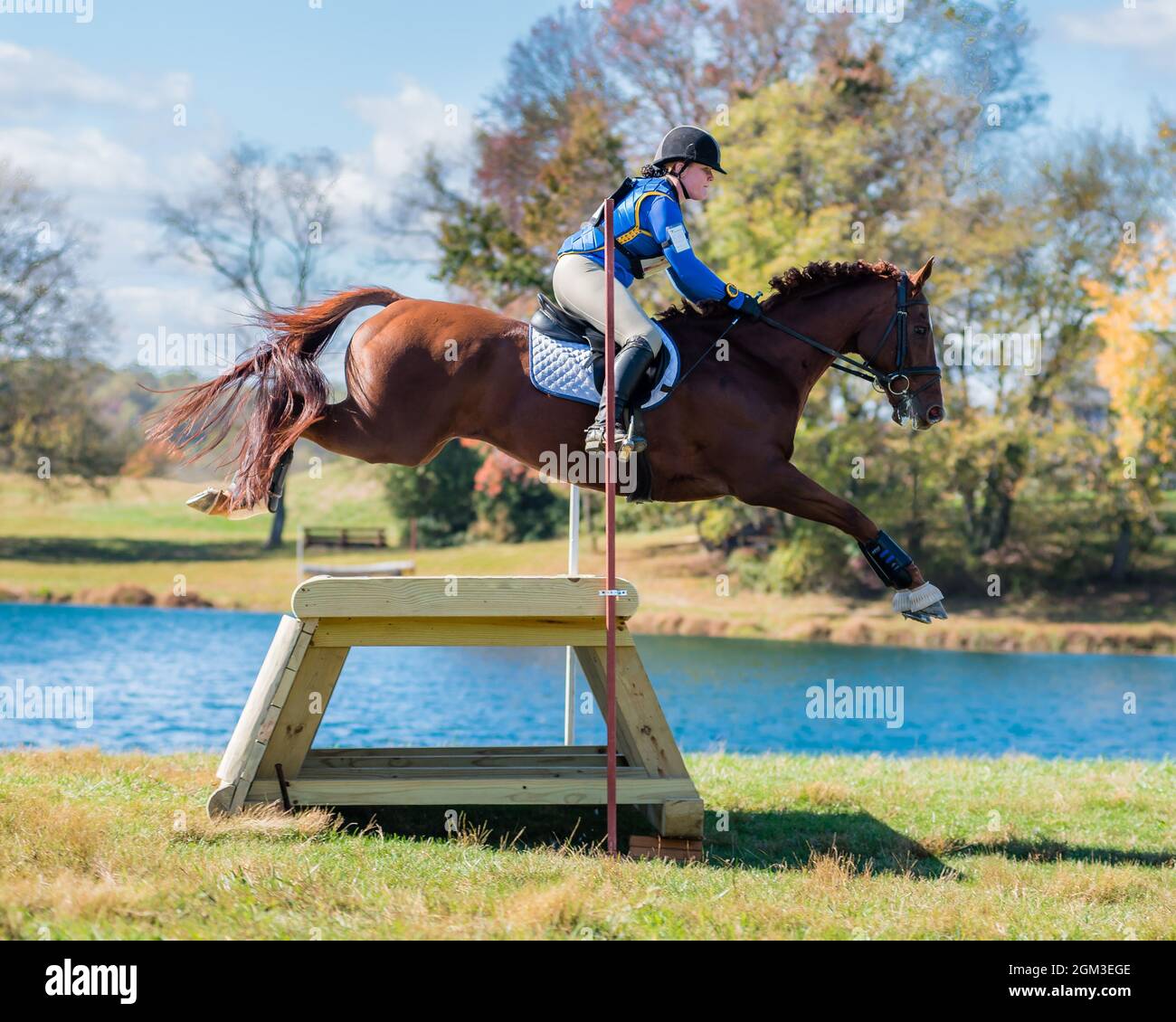 Equestrian competition photos including hunter jumper and cross country ...