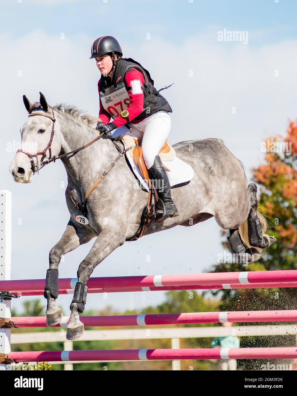 Equestrian competition photos including hunter jumper and cross country ...