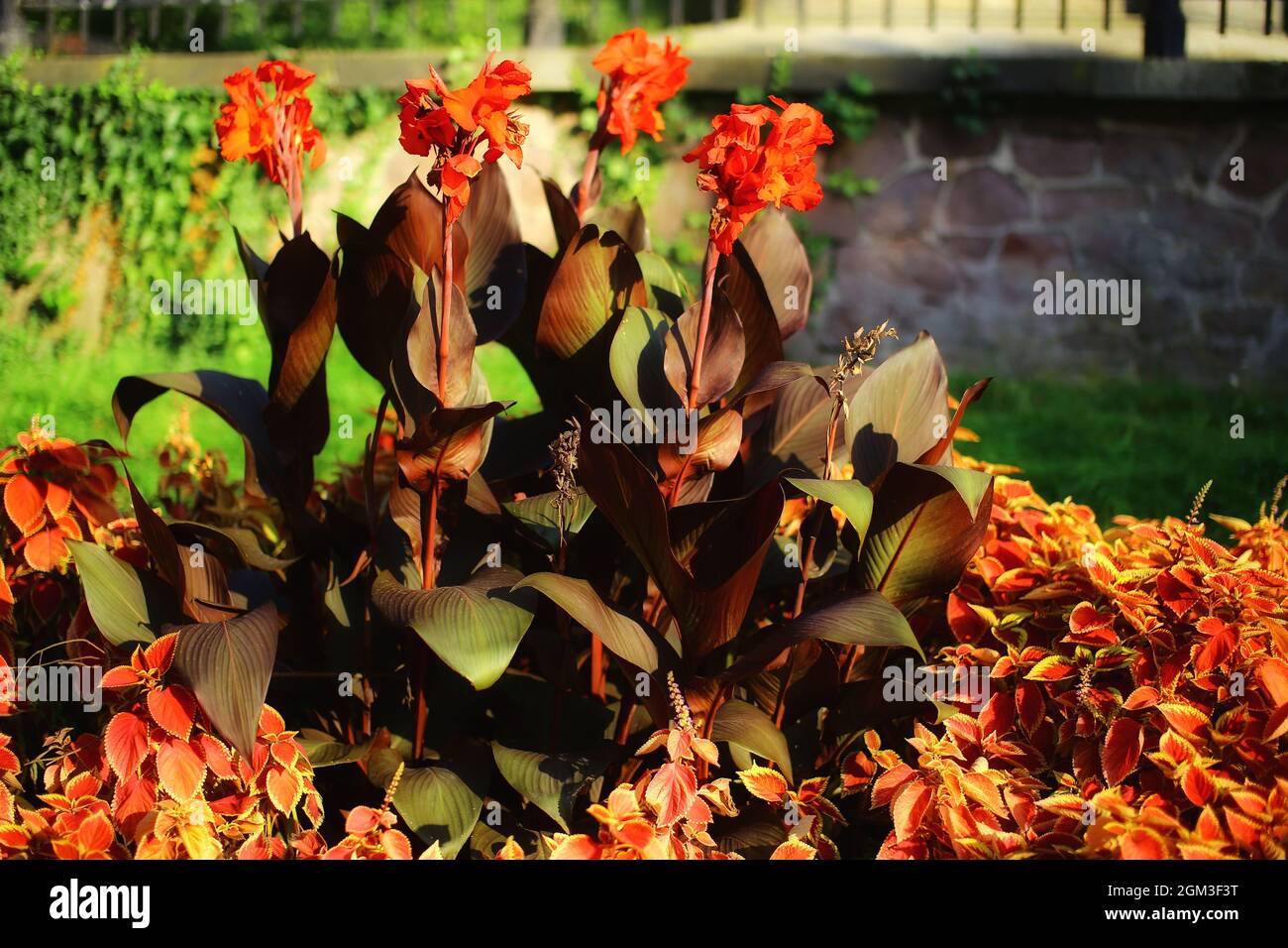 Shallow focus shot indian hi-res stock photography and images - Alamy