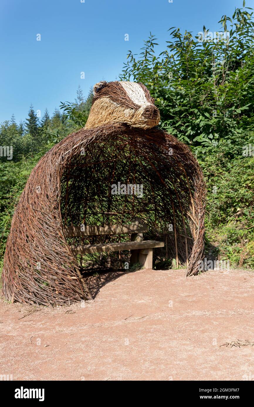 Cafe beechenhurst forest hi-res stock photography and images - Alamy