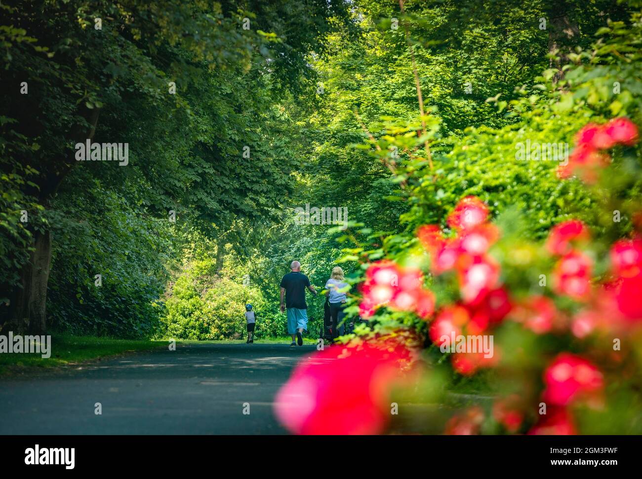 Ormeau park belfast hi-res stock photography and images - Alamy