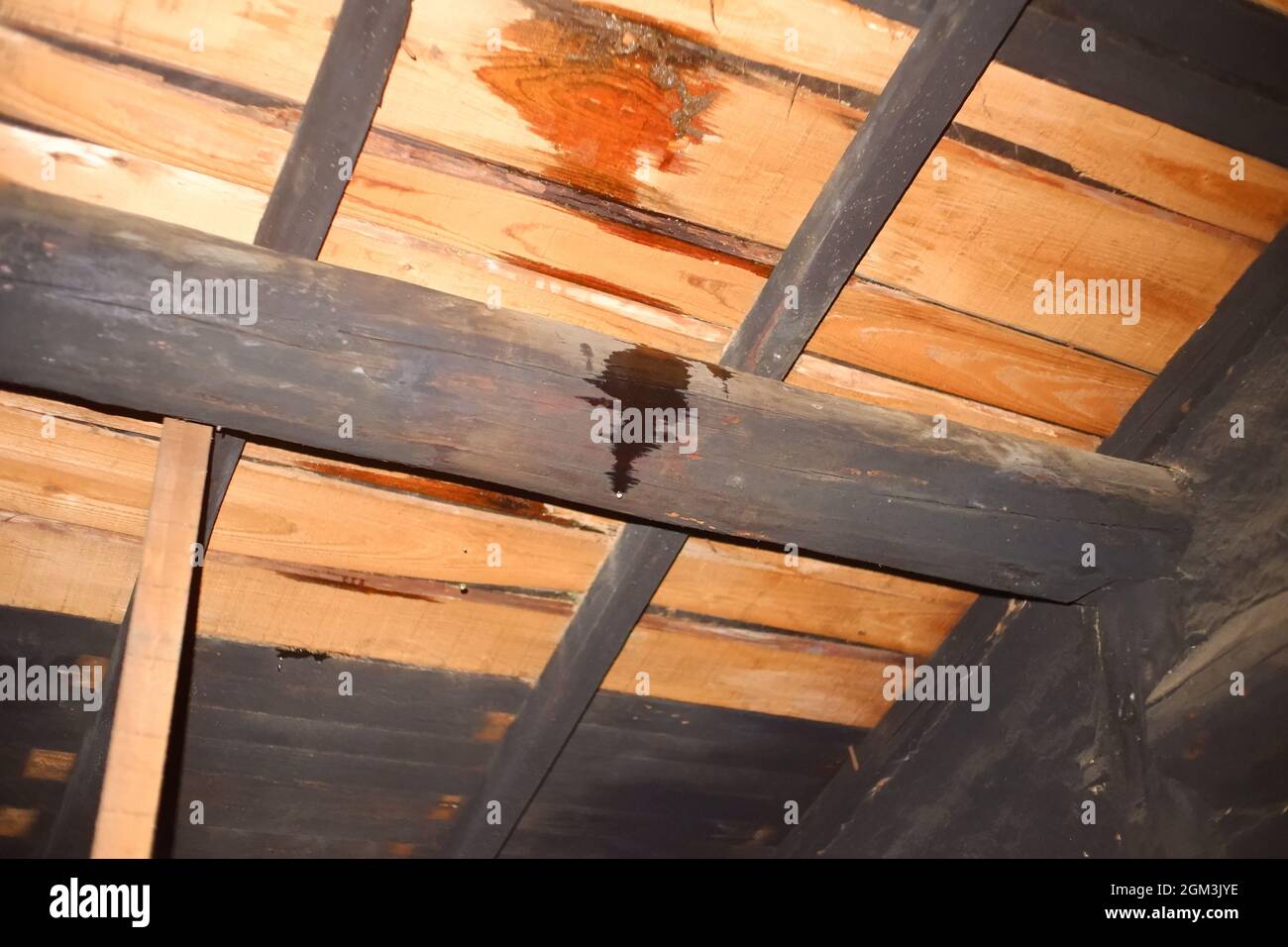 Rain water leaking into the 100-year-old house Stock Photo - Alamy