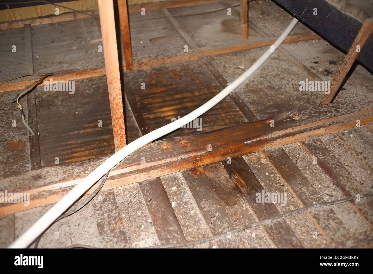 Rain water leaking into the 100-year-old house Stock Photo - Alamy