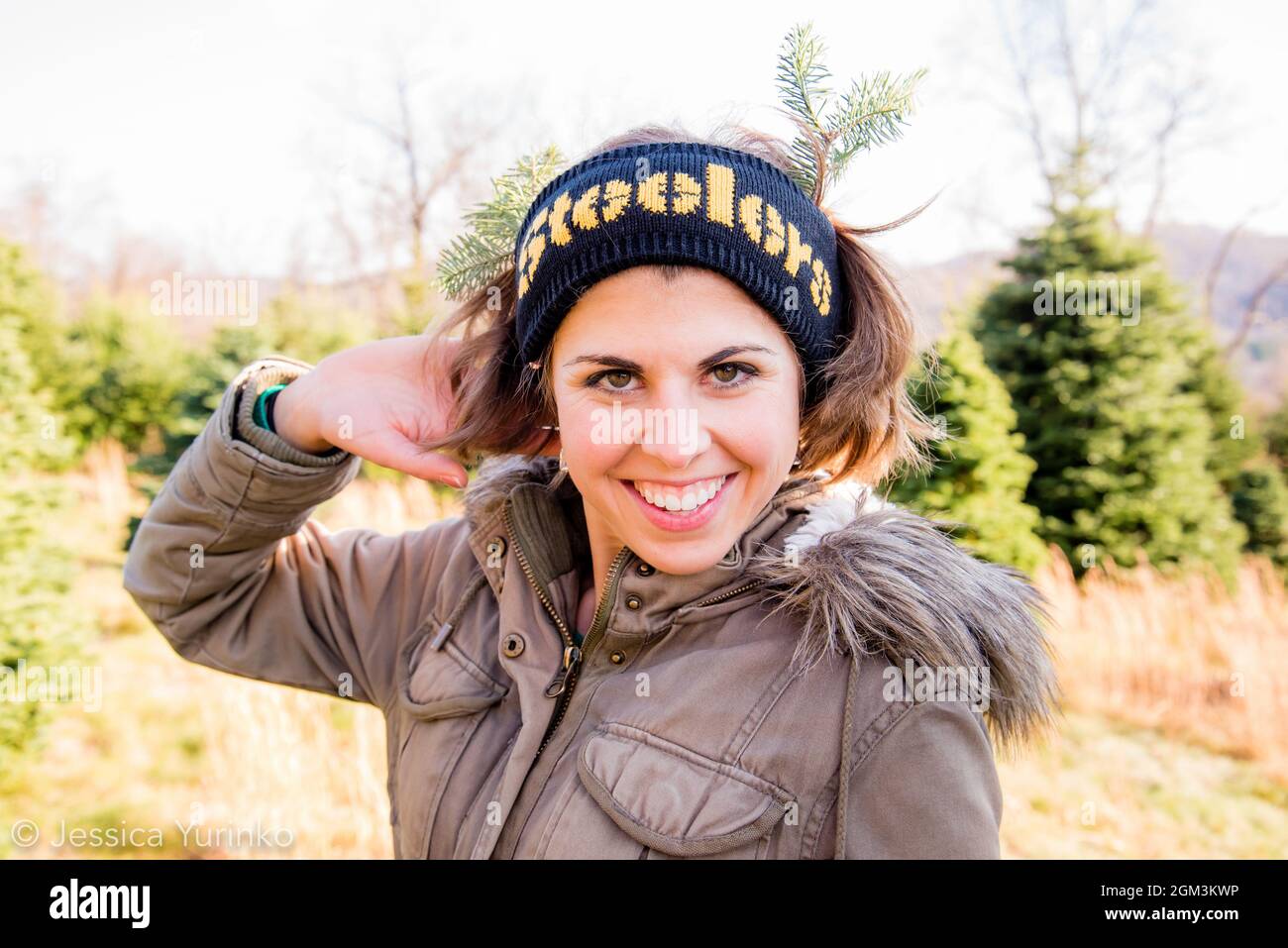 Christmas tree tradition holiday tree chop hunt Stock Photo - Alamy