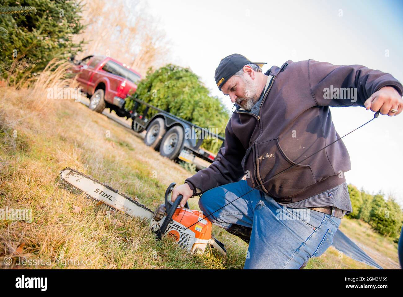 Christmas tree tradition holiday tree chop hunt Stock Photo - Alamy