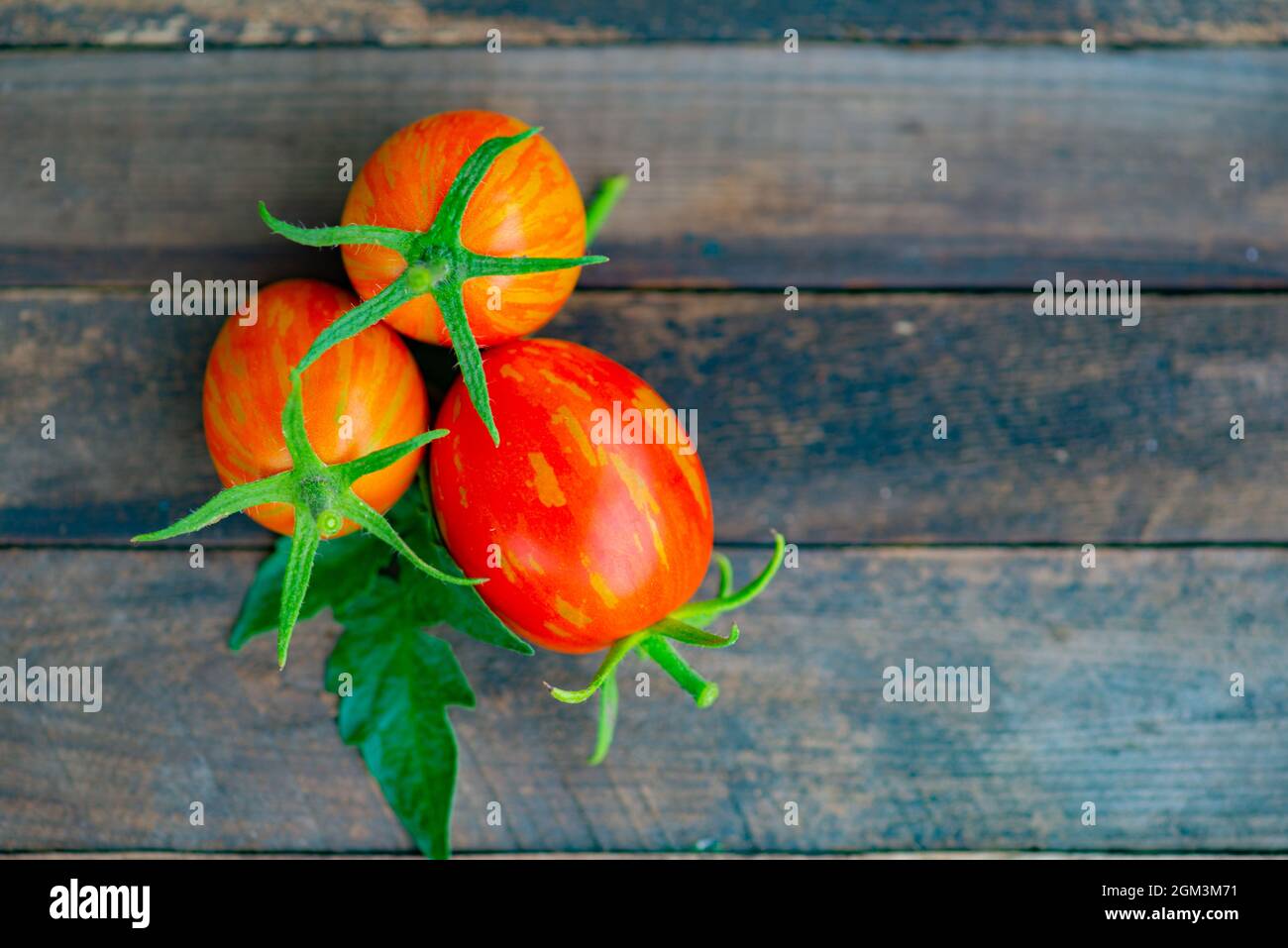 Striped tomatoes hi-res stock photography and images - Alamy