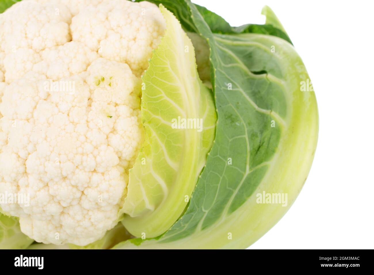 One organic cauliflower, close-up, isolated on white Stock Photo - Alamy