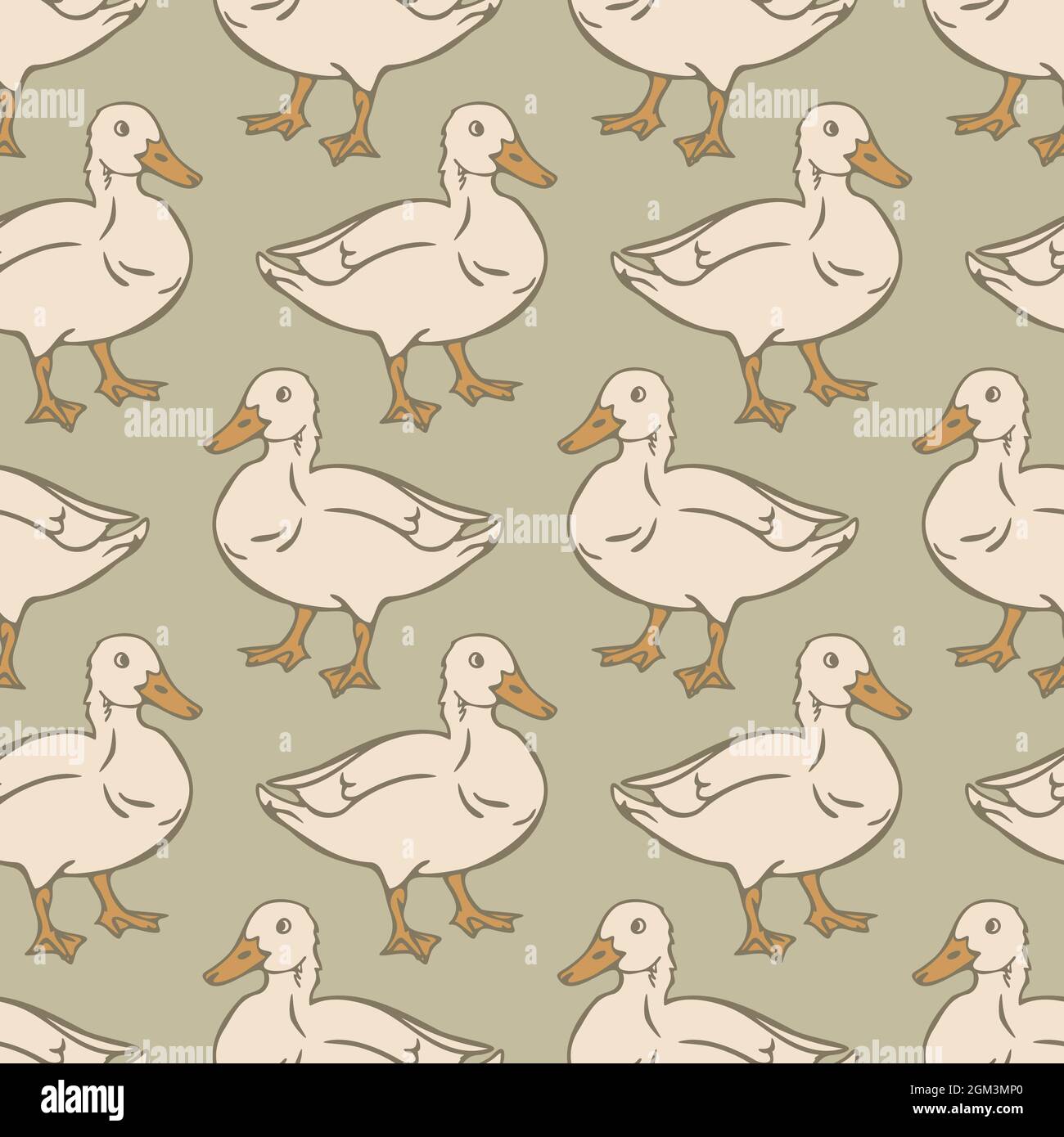 Vector seamless pattern with domestic duck. Design with hand drawn duck ...
