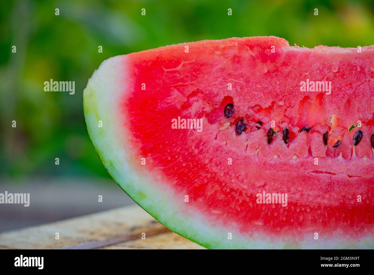 one slice of watermelon with seeds close-up Stock Photo - Alamy