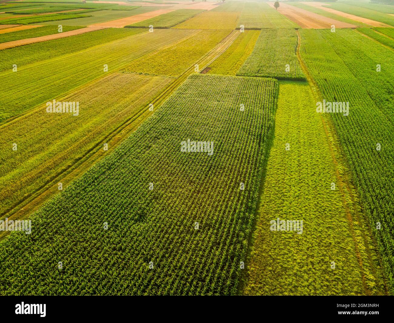 Colorful Plants in Agriculture Fields Drone View Stock Photo - Alamy
