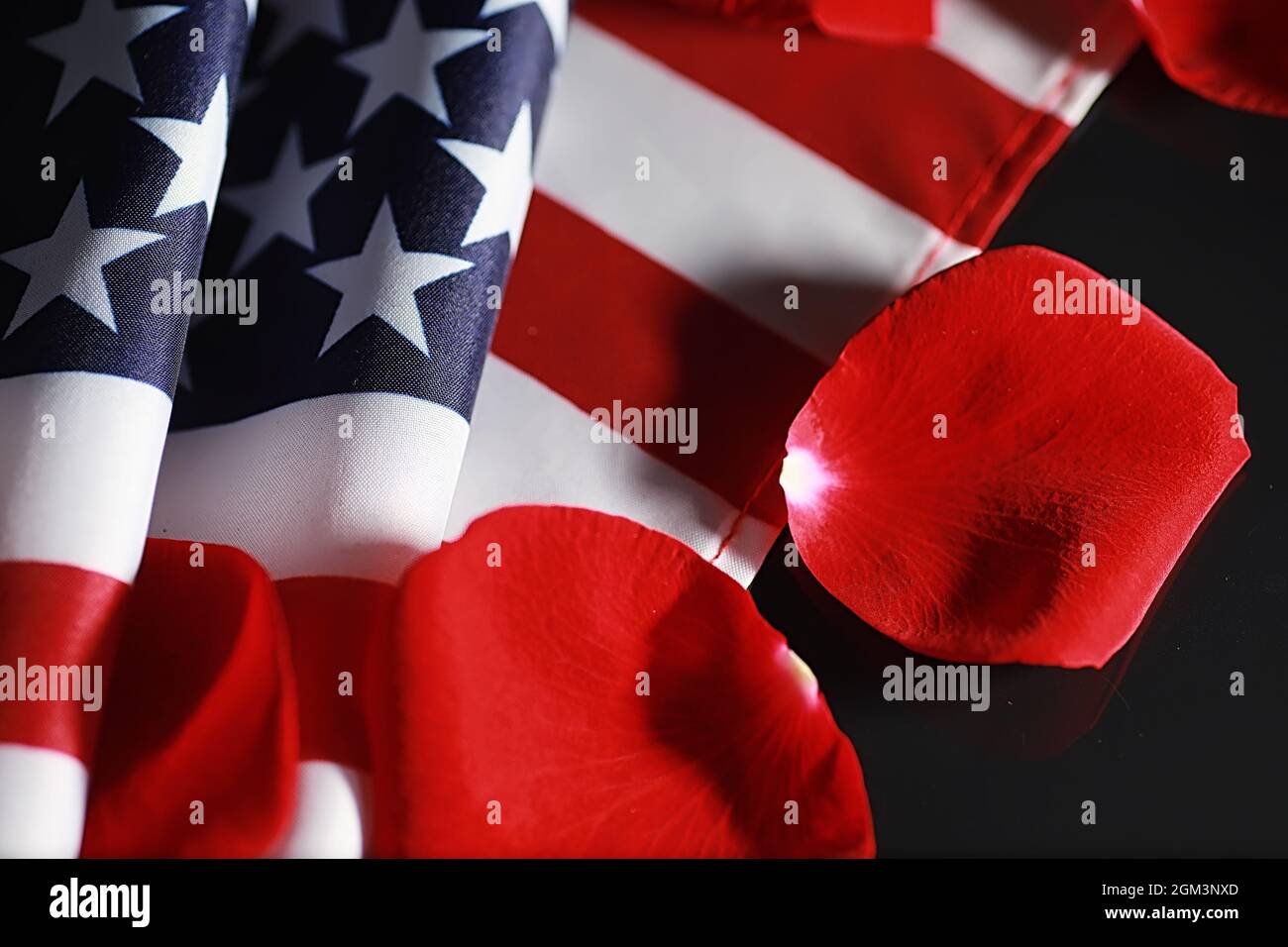 American flag and rose flower on table. Symbol of the United States of ...