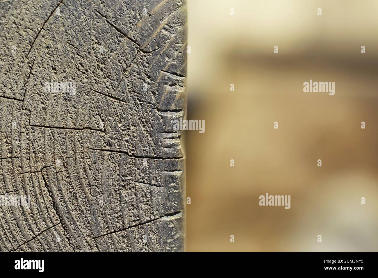 Wood texture background. The contrasting texture of the boards. Wooden ...