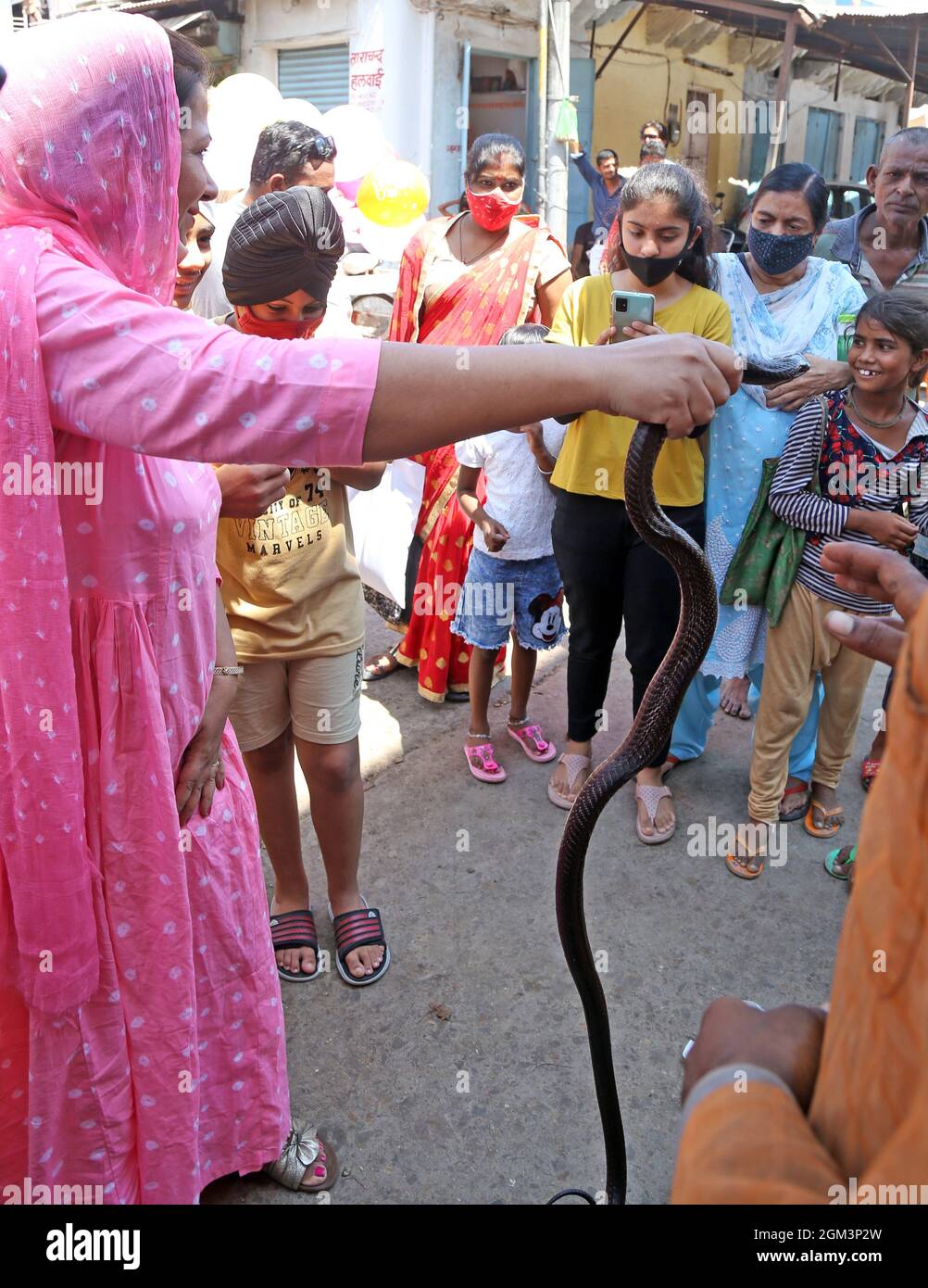 Snake diversity of india hi-res stock photography and images - Alamy