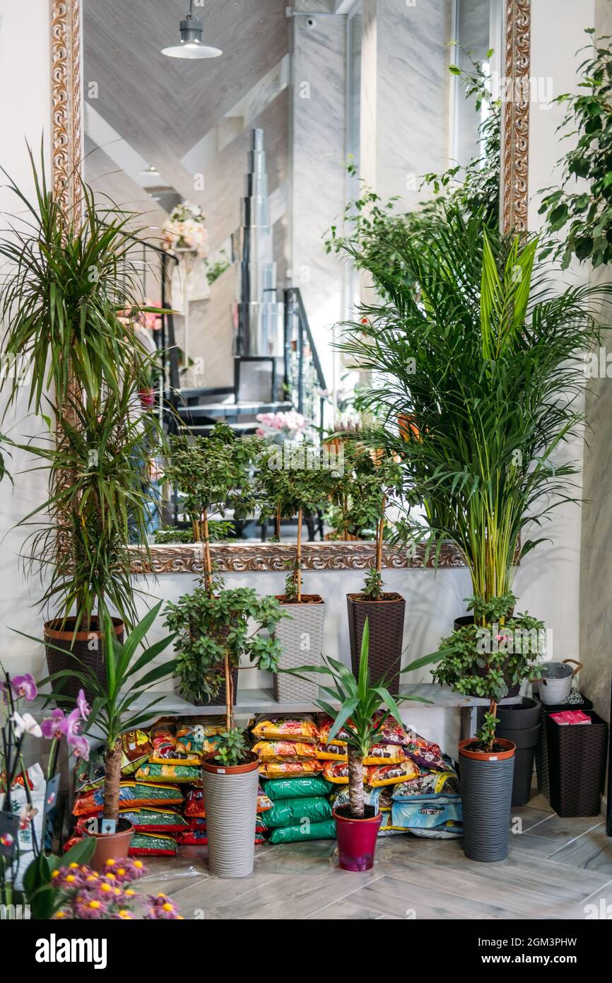 Floral Design, floral fashion, florist shop interior. Flower ...