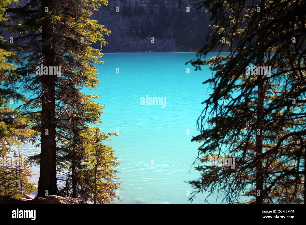 All the shades of turquoise in the waters of Lake Louise in Banff ...