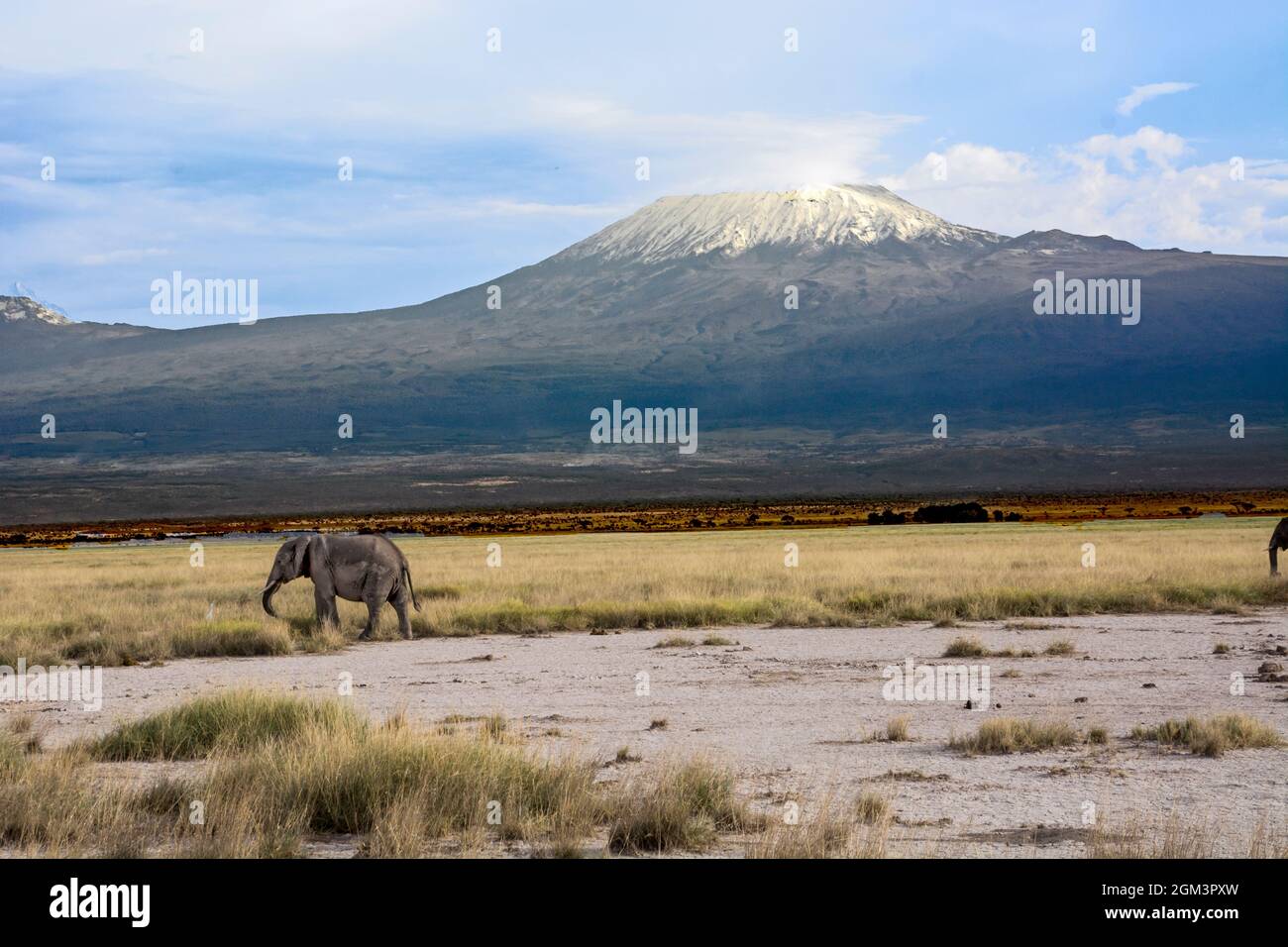 Mt elephant hi-res stock photography and images - Alamy
