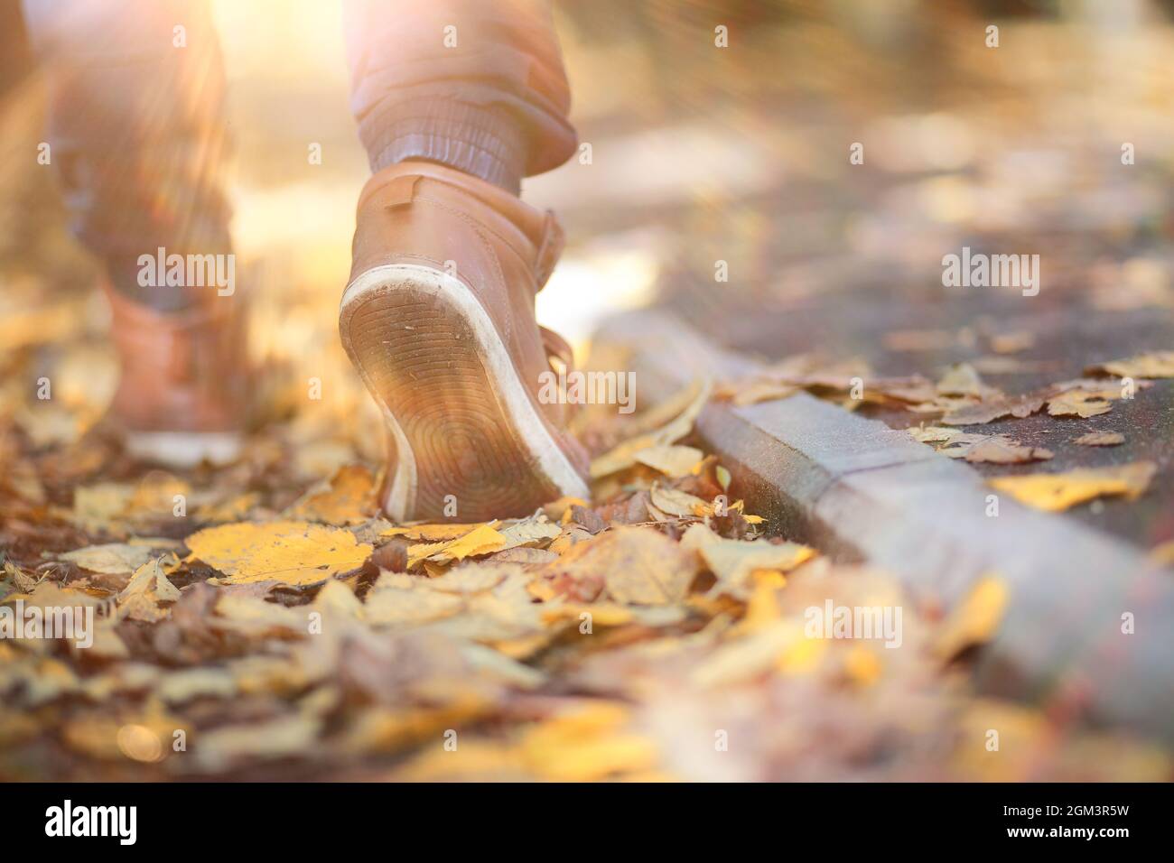 Autumn Park man walking along a path foliage Stock Photo - Alamy
