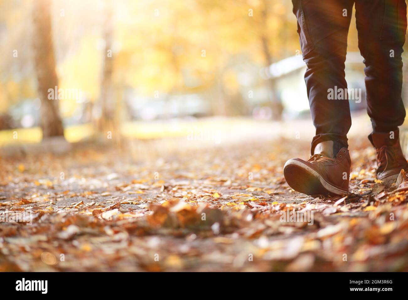 Autumn Park man walking along a path foliage Stock Photo - Alamy