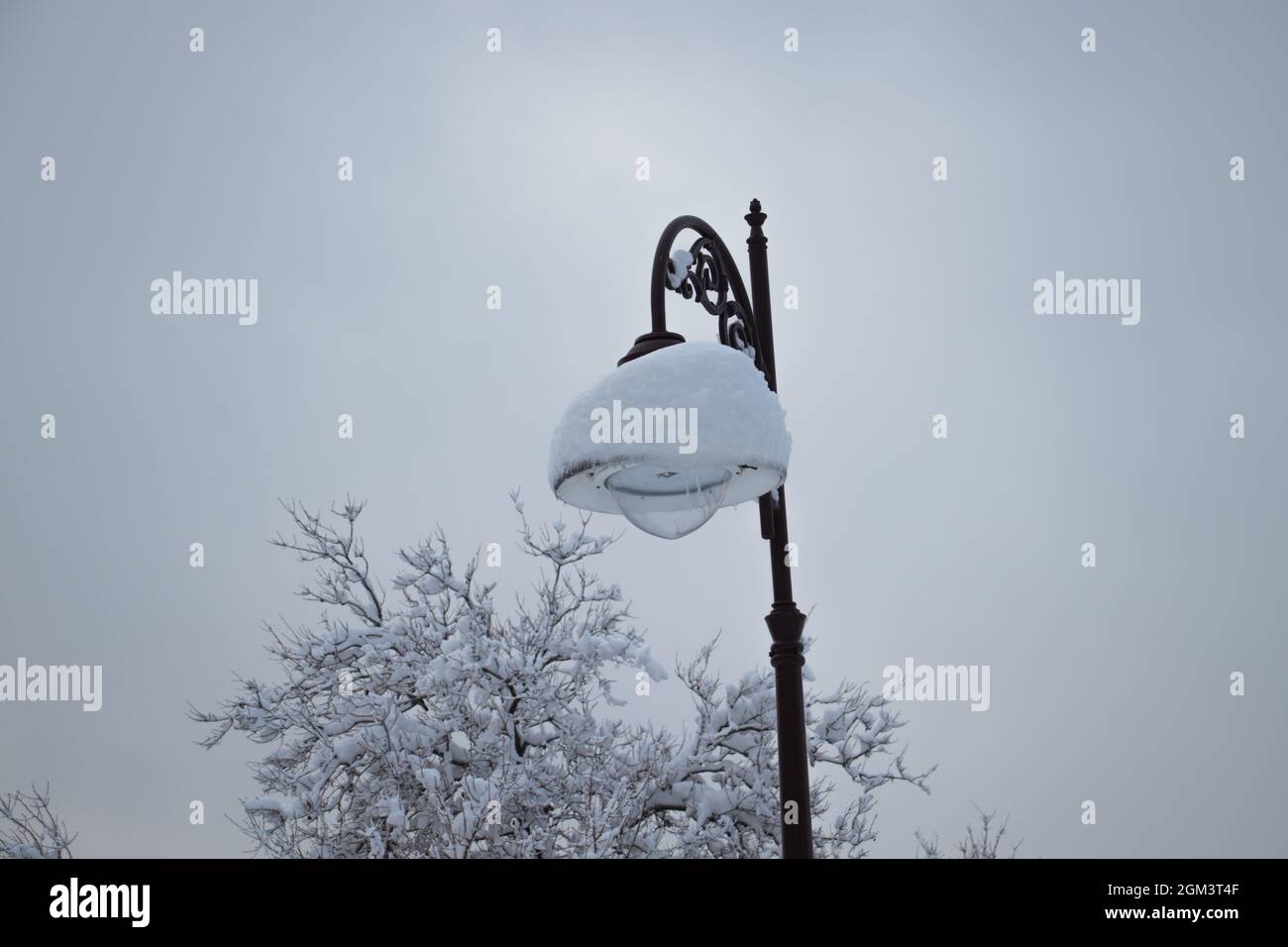 Lamp post in bush hi-res stock photography and images - Alamy