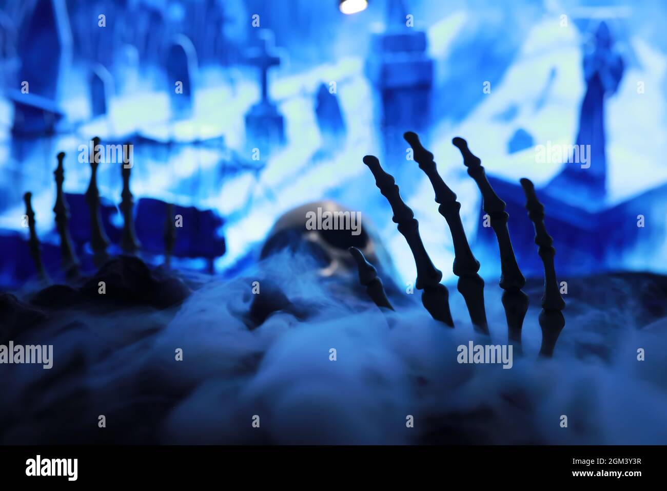 Skeleton Zombie Hand Rising Out Of GraveYard - Halloween Stock Photo ...