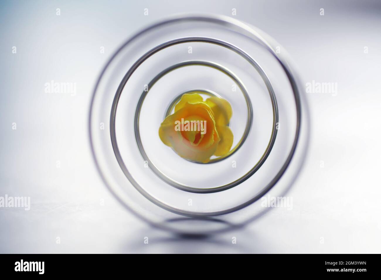 Metal spiral. The concept endless turns. Golden ratio. The concept of ...