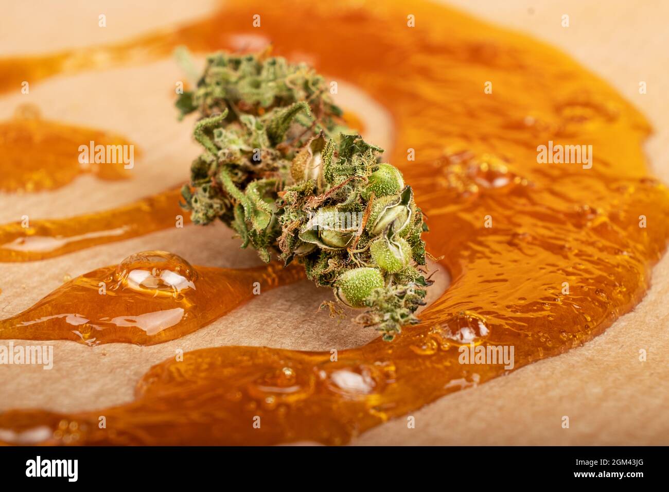 Gold extract hi-res stock photography and images - Alamy
