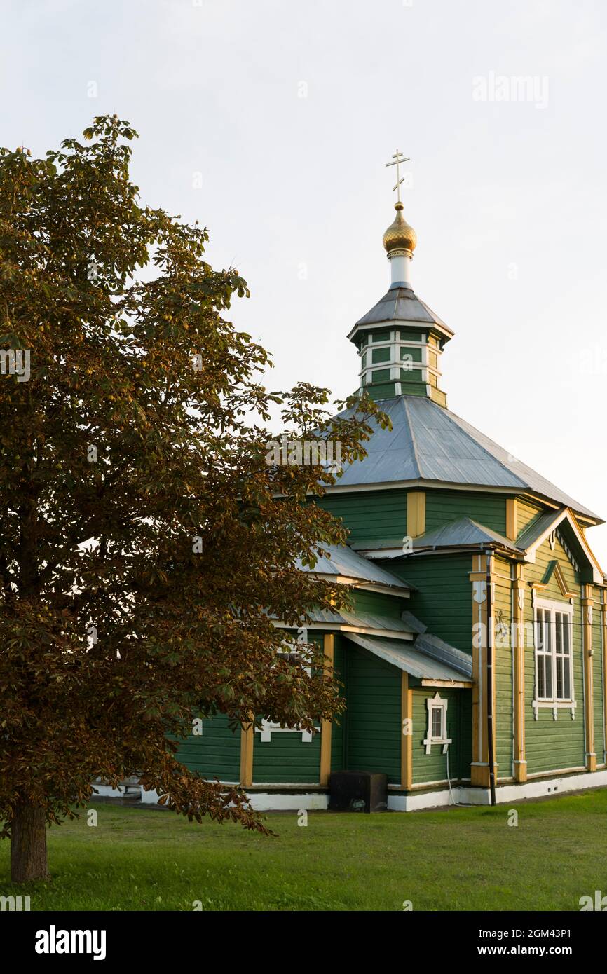 An old wooden 19th century church in green with a gold dome and gold ...