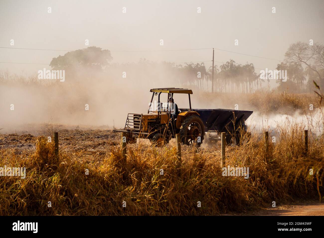 Machine working in the field. Tractor working in the field and raising ...
